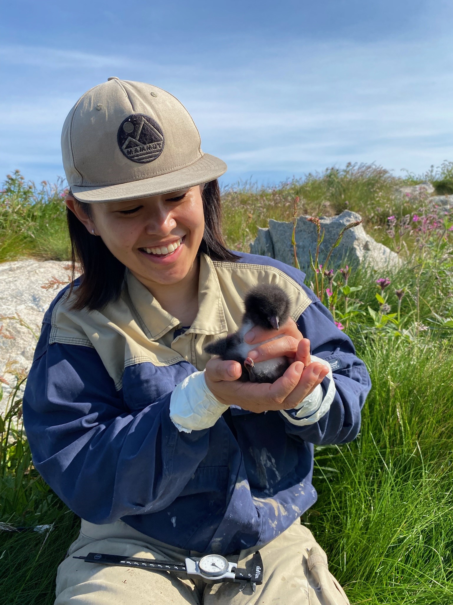 Icons of the mountains - Who we are